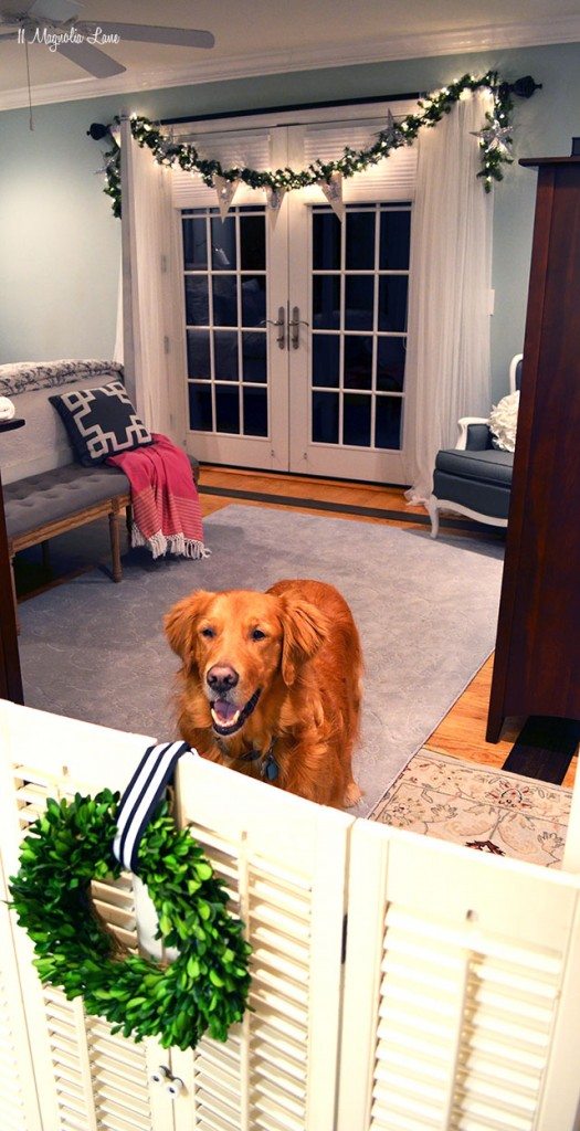 Plantation Shutter Dog Gate