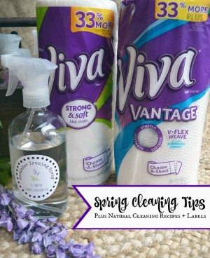 Spring Cleaning + Natural Cleaner Recipes
