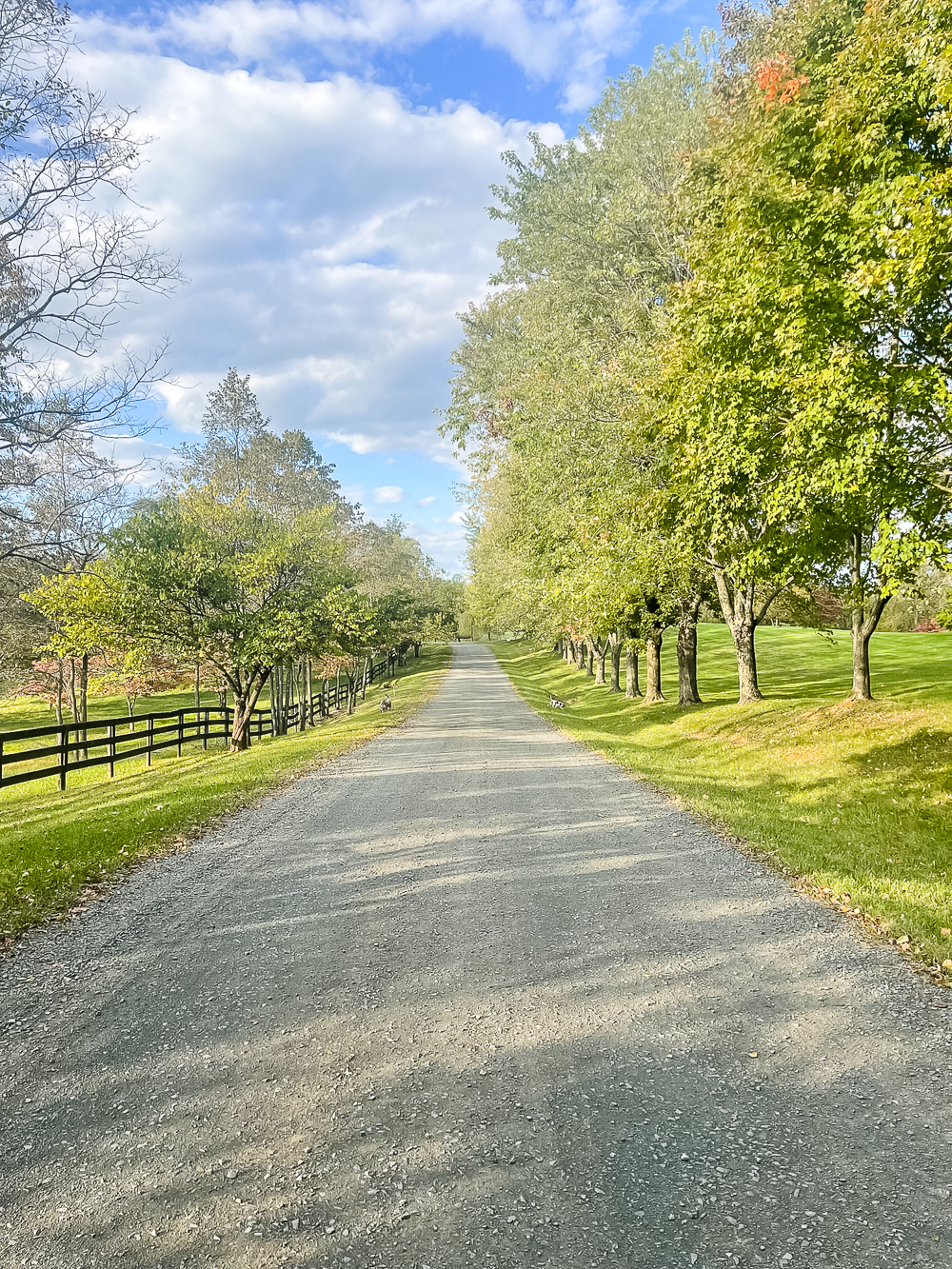 Fall Check-In and Fall Favorites