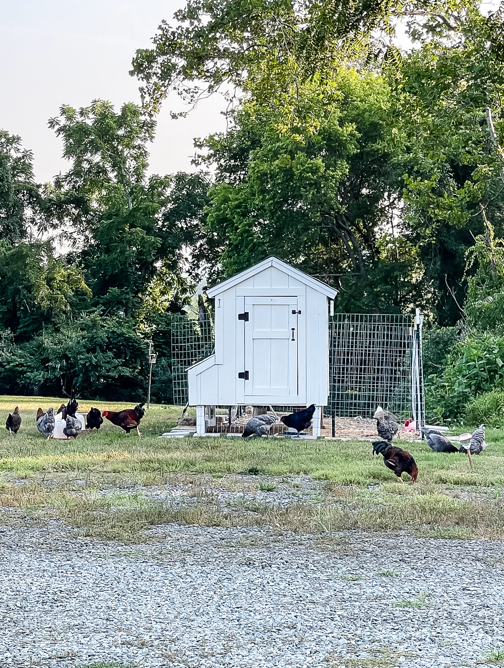 Fall Check-In and Fall Favorites